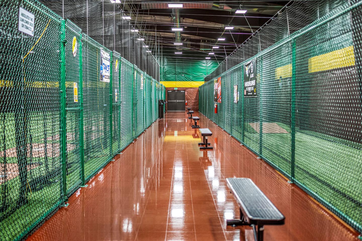 D-BAT Skagit Valley | Rawlings